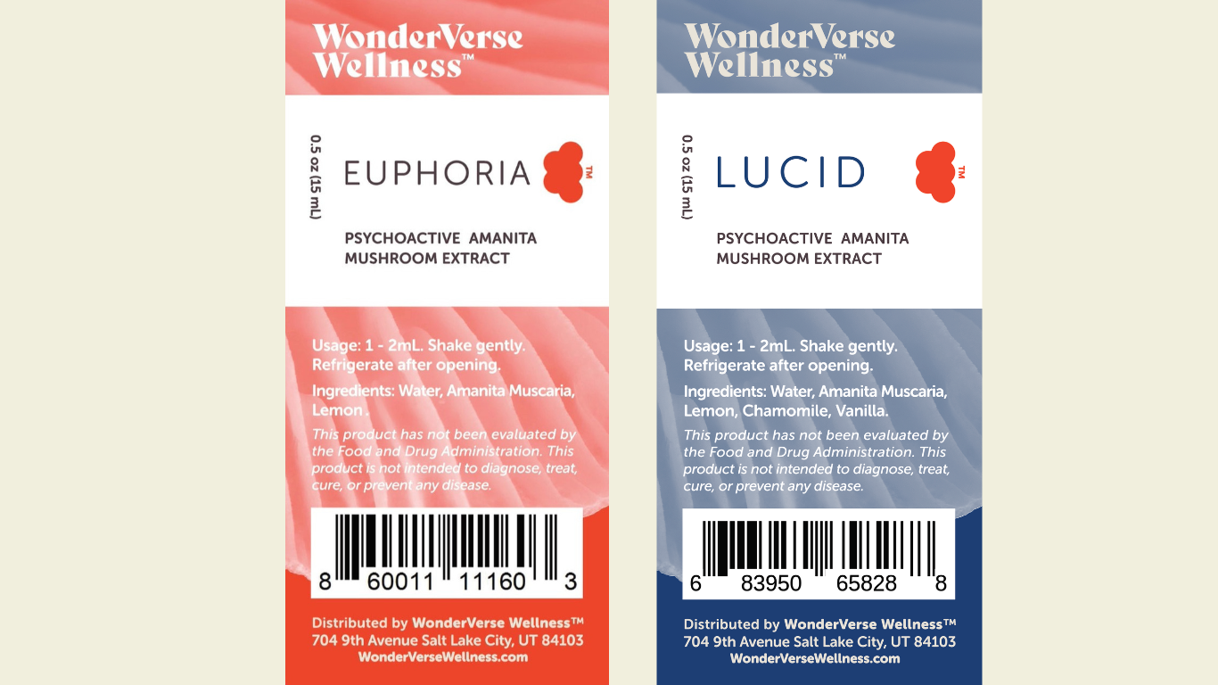 AM PM – WonderVerse Wellness